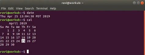 Conquer The Linux Terminal Master Basic Commands