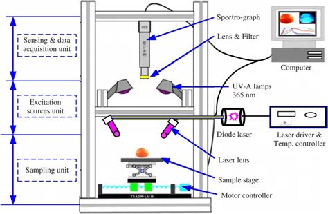 The Common Components Of A Hyperspectral Fluorescence Imaging System A Download Scientific