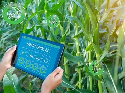 Premium Photo Smart Farming With Iot Growing Corn Seedlings With Infographics Smart Farming