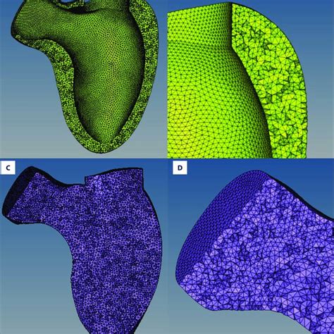 The Grid Of Structure Model Of Left Ventricle And The Fluid Model Of Download Scientific