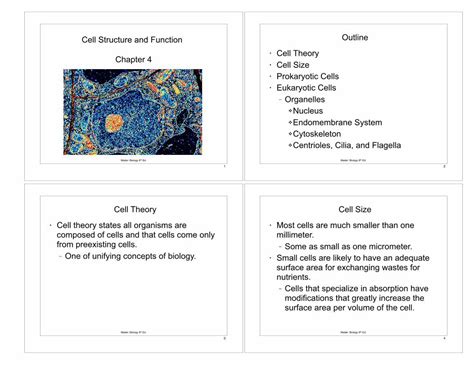 Pdf Cell Structure And Function Outline Cell Theory Chapter 4