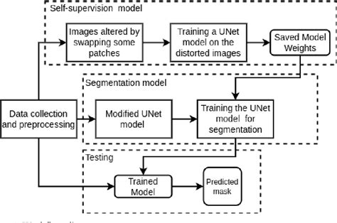 Figure 1 From Self Supervised Approach For Organs At Risk Segmentation Of Abdominal Ct Images