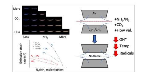 Effects Of Ammonia Substitution In The Fuel Stream And Exhaust Gas Recirculation On Extinction