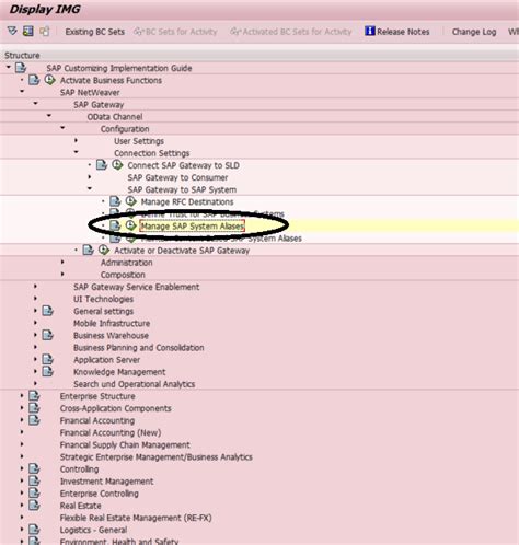 Sap Fiori Sapui5 Sap Netweaver Gateway Konfigurasyonu