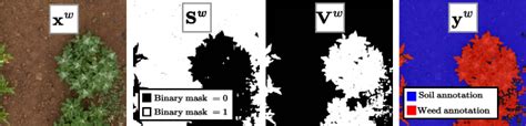Figure From Towards Domain Generalization In Crop And Weed
