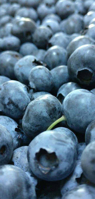 Xiaomi Mi 8 Explorer Wallpapers HD Xiaomi Mi 8 Explorer Wallpapers HD