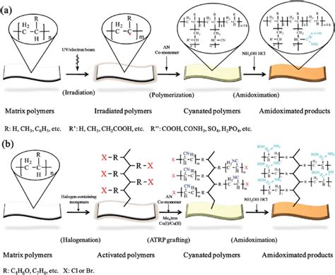 Schematic Illustration Of The Entire Process For Preparing Download Scientific Diagram