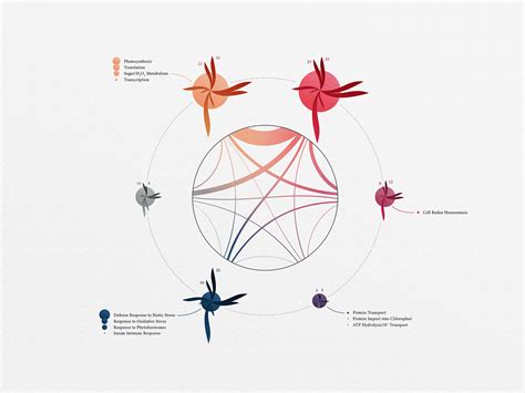 Plant Bugs Data Visualization Behance