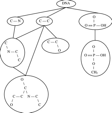 Partial Hierarchical Clustering Of A Dna Sequence Download Scientific Diagram