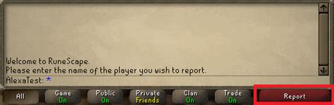 Report A Bug Support
