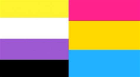 Non Binary Flag And Pansexual Flag Background