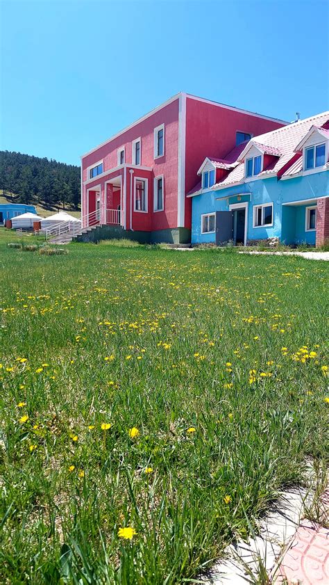 Байгаль дэлхий өнгө ногоорч зун айлчлан иржээ Зуны сайхан өглөө шувуудын жиргээ агаарын