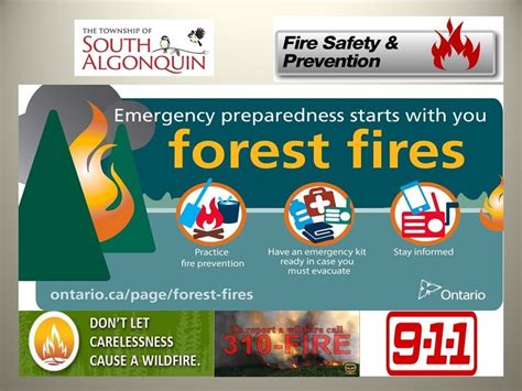 Forest Fire Fighting And Prevention Supervisor At Lewis Bonnett Blog