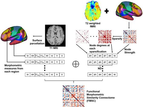 Generating The Functional Morphometric Similarity Connectome Fmsc
