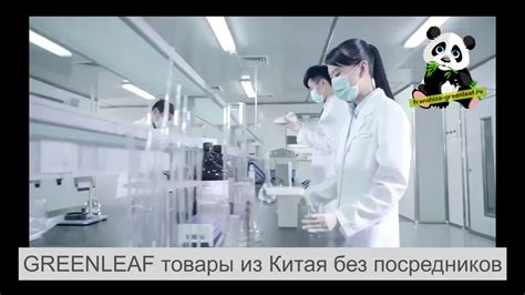 Франшиза Greenleaf Гринлиф Товары из Китая без посредников - YouTube
