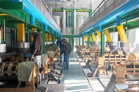 Sesame Oil Extraction Machine Seed To Edible Oil