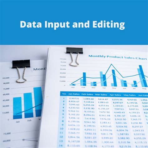 help in inputting and visualizing data in best possible way by shuvam s