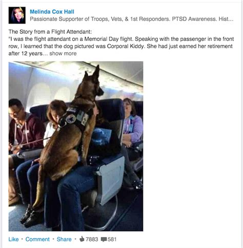 Линкед ин — Teletype