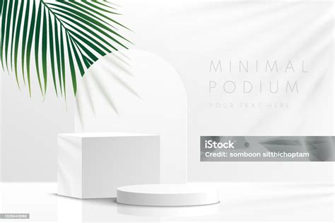 녹색 야자수 잎현대 흰색과 회색 기하학적 받침대 연단 그림자 플랫폼 추상흰색과 회색 최소 벽 장면 벡터 렌더링 3d 모양 화장품 제품 디스플레이 프리젠 테이션 강단에 대한