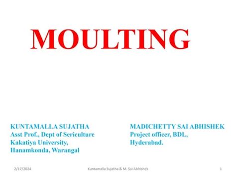 ubuntu server cli cheat sheet 2024 v6 pdf operating systems computer software and applications