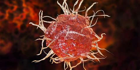 Nota Kesepahaman Vaksin Nusantara Diteken Apa Itu Sel Dendritik