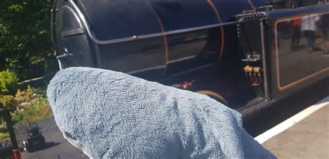 Finn Sees The Femboy Train Driver And Would Like To Raise This Rblahaj