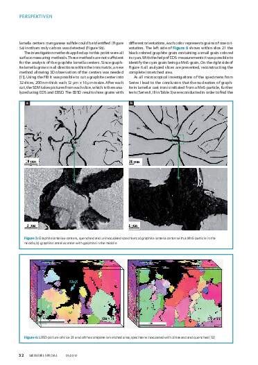 Theory Of Graphite Nucleation In Lamellar Graphite Cast Iron Ausgabe 01 Giesserei Special