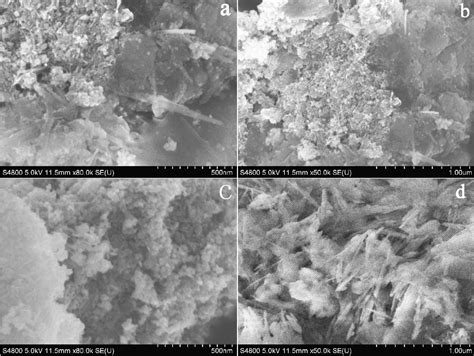 Figure 2 From Preparation And Application Of Attapulgite Iron Oxide
