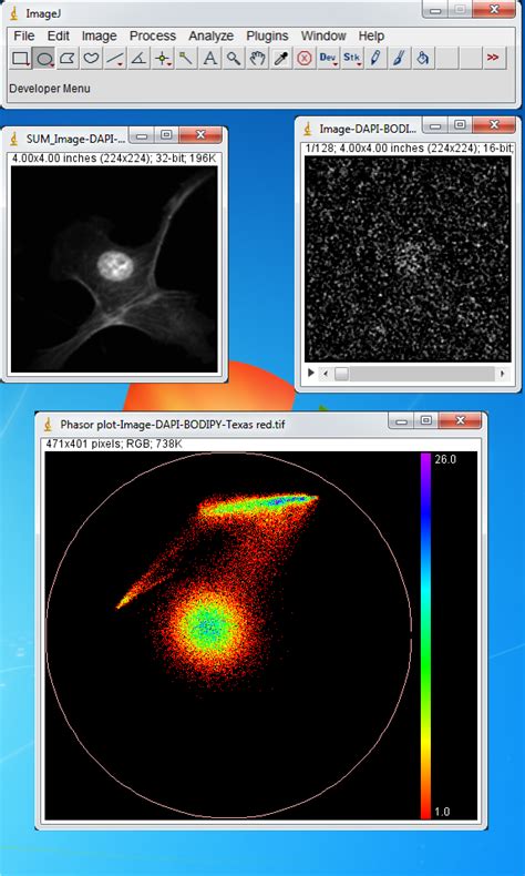 spectral phasor example 1