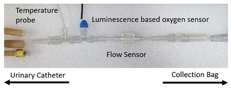 Noninvasive And Invasive Renal Hypoxia Monitoring In A Porcine Model Of Hemorrhagic Shock