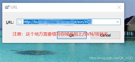 svn使用免费外网访问 实现远程办公 svn国际远程 csdn博客
