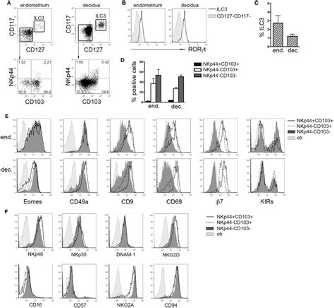 Ex Vivo Characterization Of Human Endometrial And Decidual Ilc Subsets