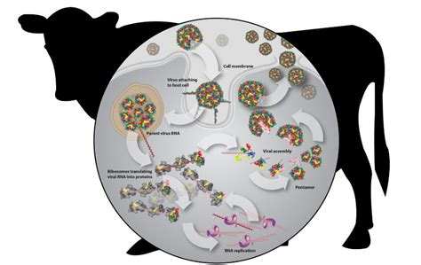Шүлхий өвчинтэй тэмцэхэд зориулан 20 сая төгрөг хандивлалаа