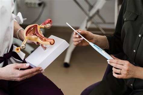 Iud Intrauterine Device And Uterus Model In Hands Gynecology