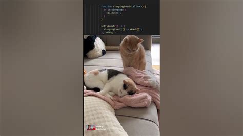 Javascript Settimeout Methodcoding Programming Javascript Python Youtube