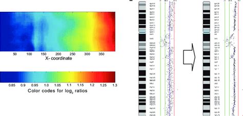 Normalization Of Array Cgh Data A A Plot Illustrating Spatial Bias