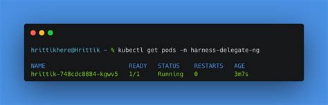 Start Deploying In Minutes With A Delegate First Approach Harness