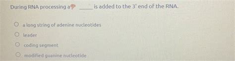 Solved During Rna Processing A Is Added To The 3 End Of The Rna A