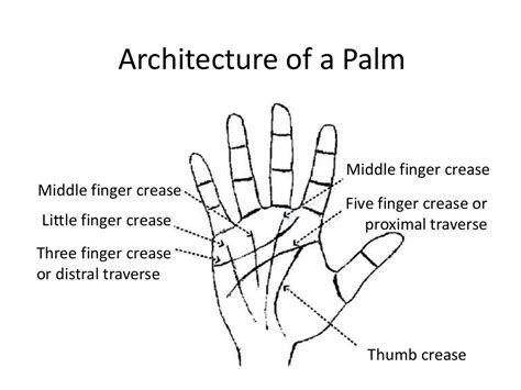 Palmprint Recognition Presentation