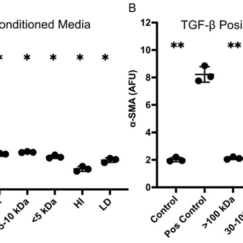 Fractionation Of Adipocyte Conditioned Media Reveals The Inducing