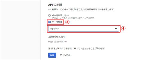 Google Maps APIがエラーで表示されない場合の原因と対処法 okuden labo