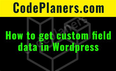 How To Get Custom Field Data In Wordpress