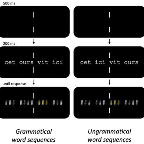 Trial Description For The Grammatical Left Panel And Ungrammatical Download Scientific
