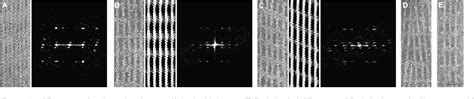 Figure 1 From An Atomic Model Of Actin Filaments Cross Linked By