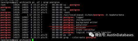 postgresql 为什么archive 缓慢或不归档 问题的原因在哪里 腾讯云开发者社区 腾讯云