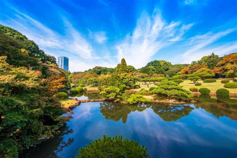 Autumn In The Shinjuku Park Tokyo Japan Copy Space For Text Stock