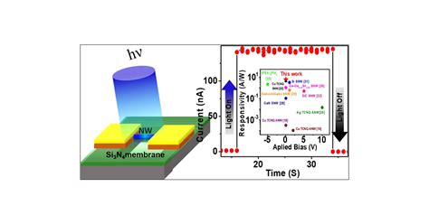 Self Powered Photodetector Fabricated From A Single Charge Transfer Complex Nanowire Grown In