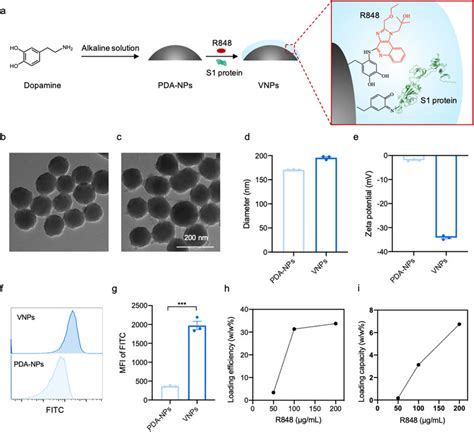 Preparation And Characterization Of Virus Mimetic Nanoparticles A Download Scientific