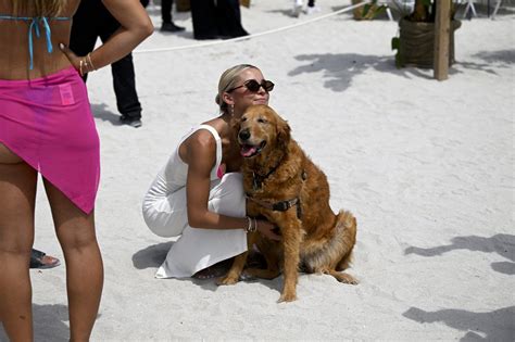 Olivia Dunne Cleavage Booty Si Swimsuit Beach Miami Hot Celebs Home