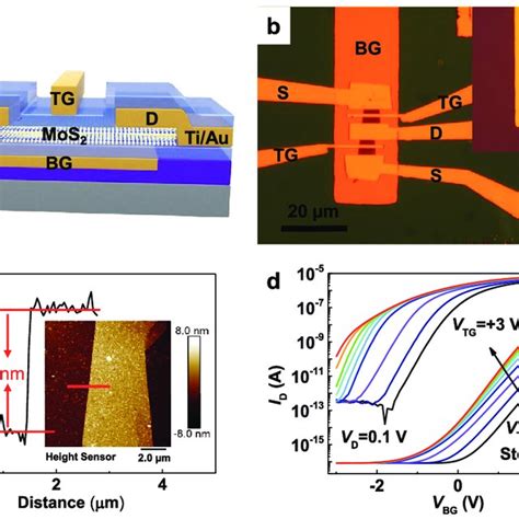 Pdf A Dual‐gate Mos2 Photodetector Based On Interface Coupling Effect